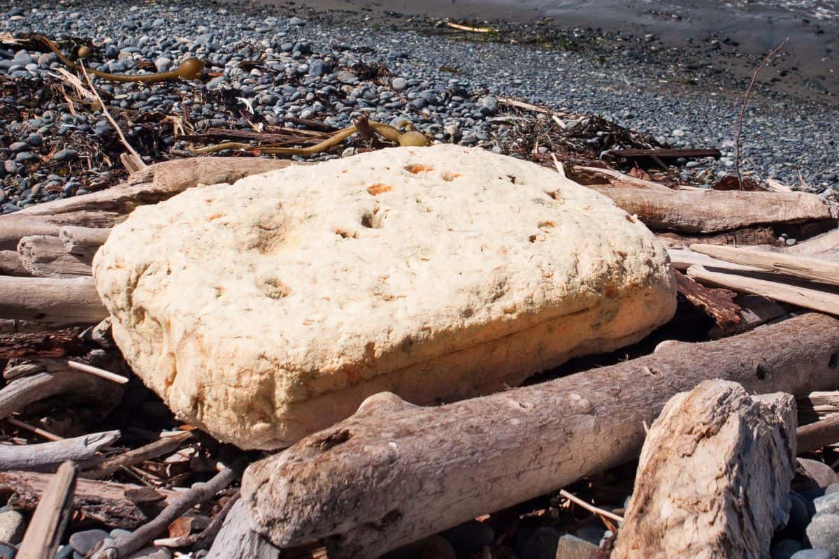 The Environmental Impact of Styrofoam - Simply Plastic Free