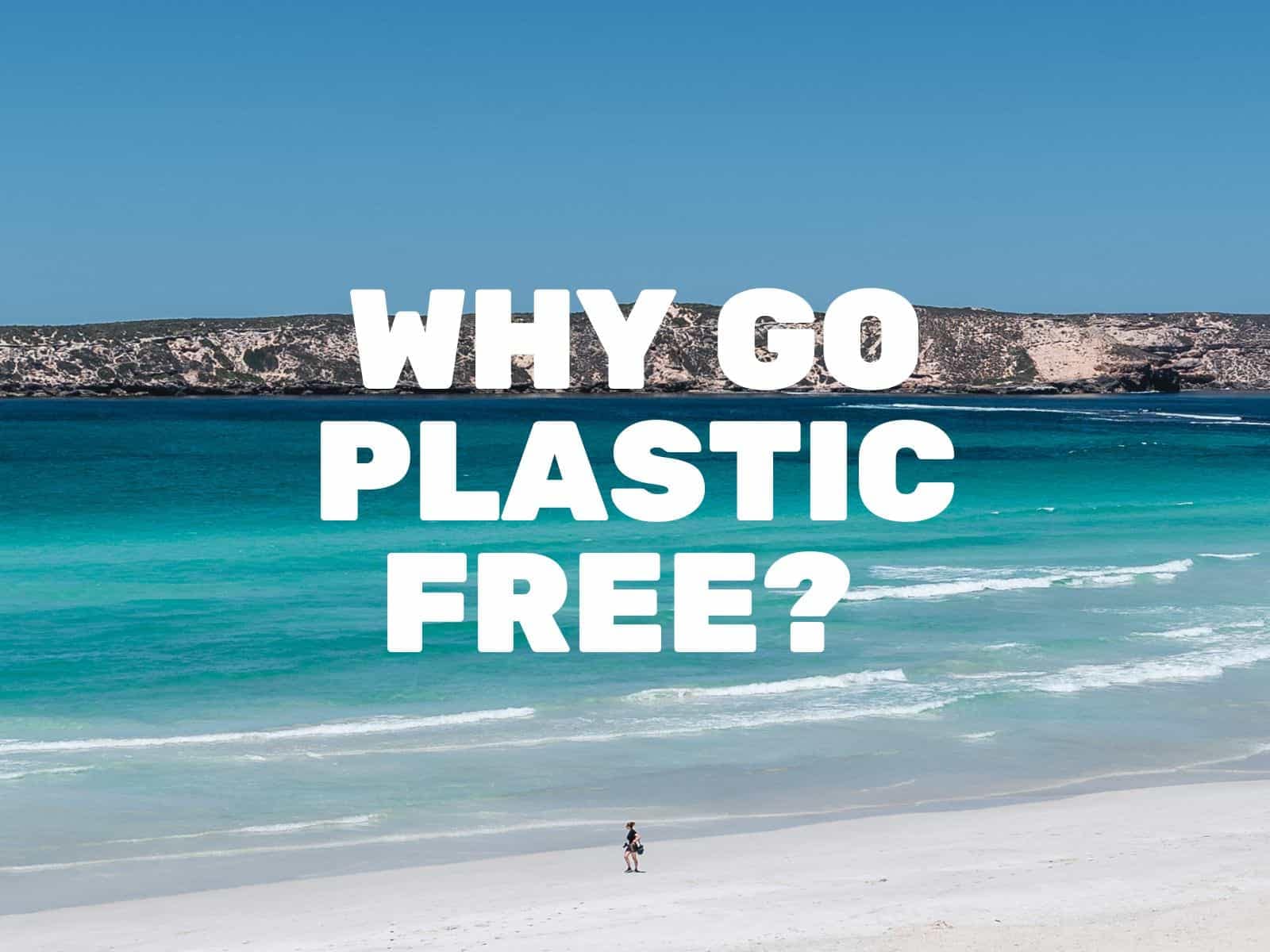 Why Go Plastic Free? - Simply Plastic Free